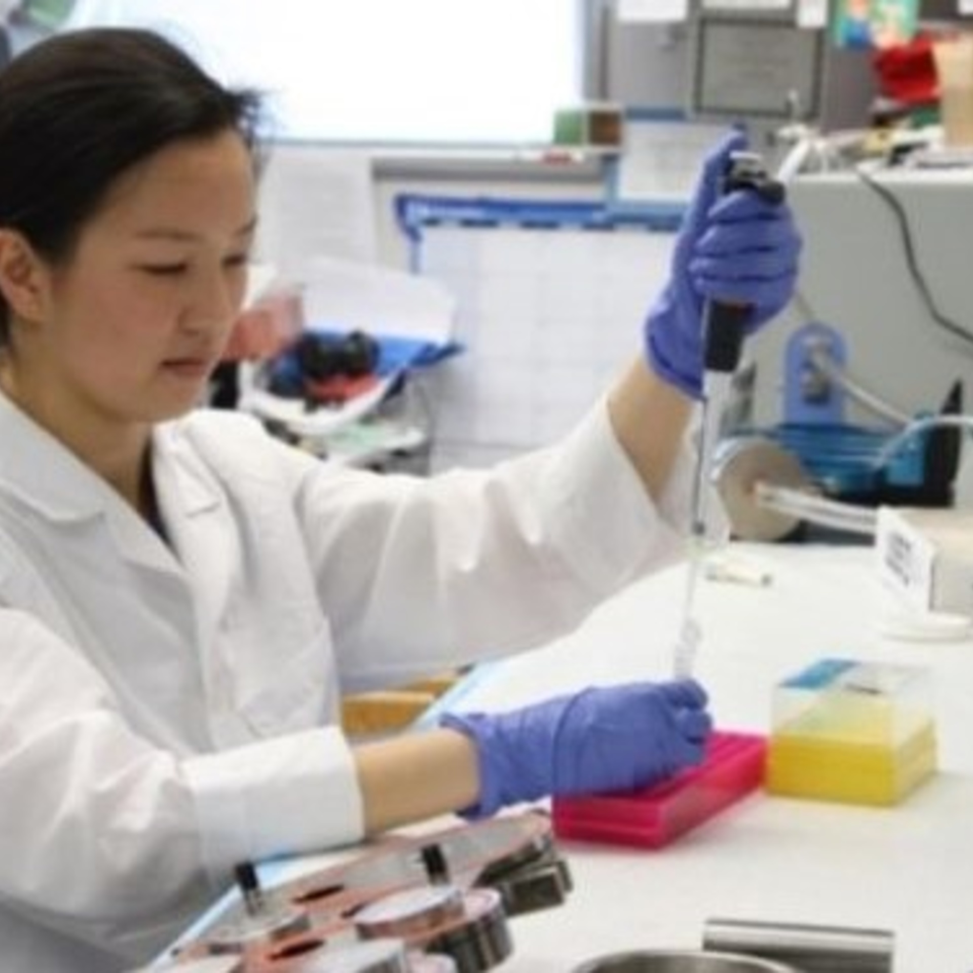 Pharmaceutical Sciences and Experimental Therapeutics | College of ...