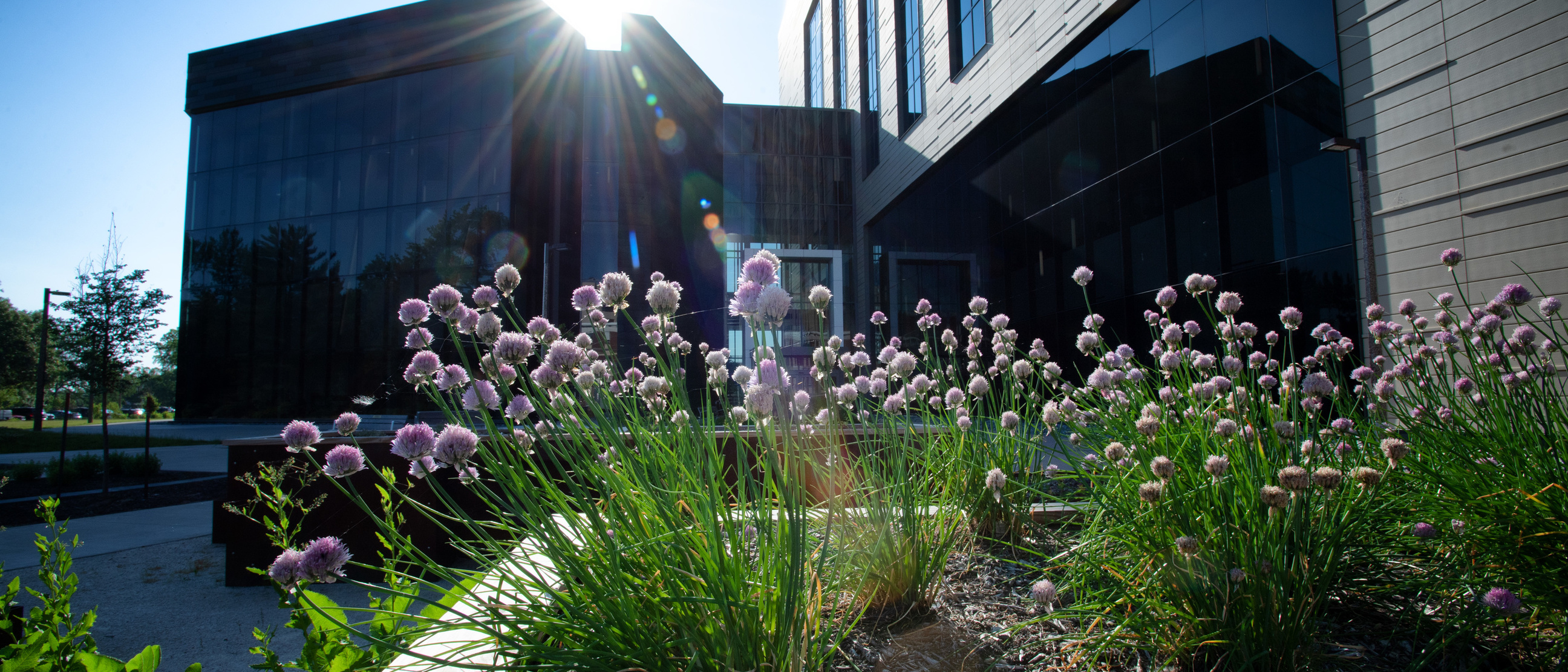 Academic Departments | College of Pharmacy - The University of Iowa