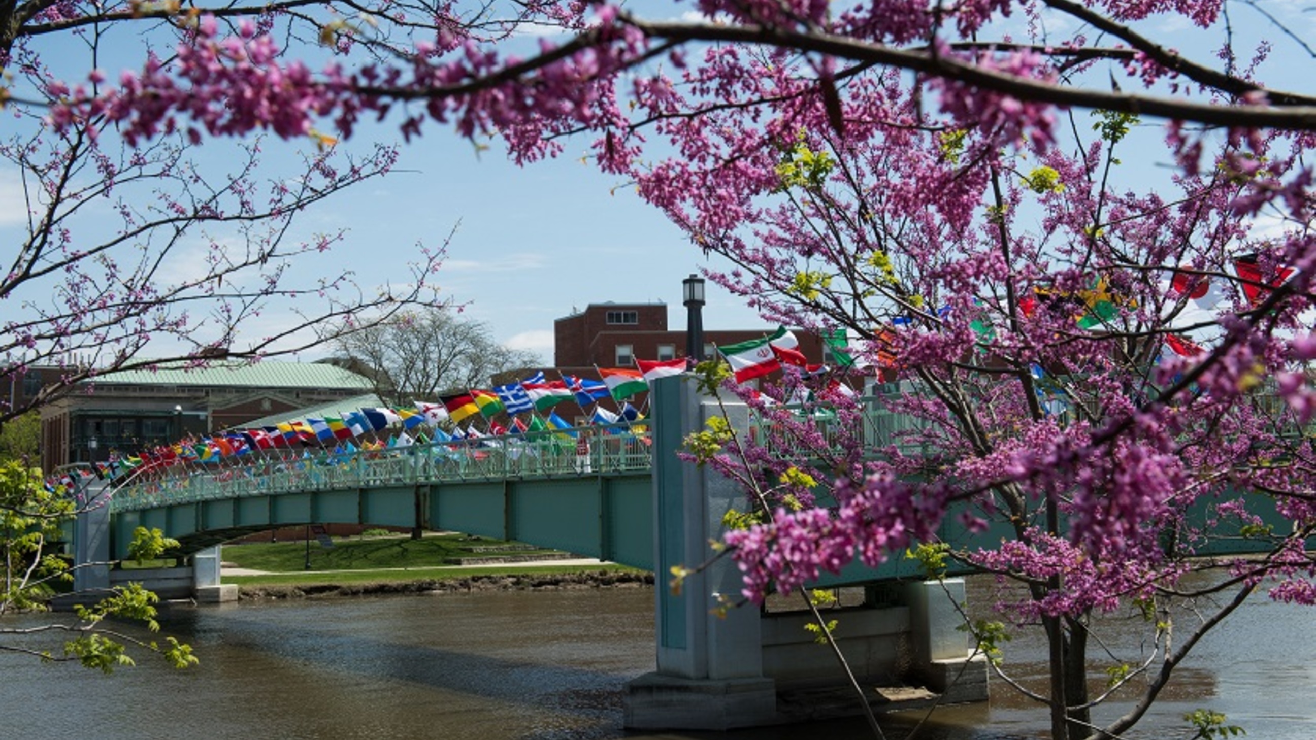 High School Student Admissions | College of Pharmacy - The University ...